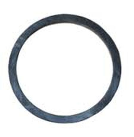 TeeJet EPDM Purple AA124 Strainer Viton O-Ring