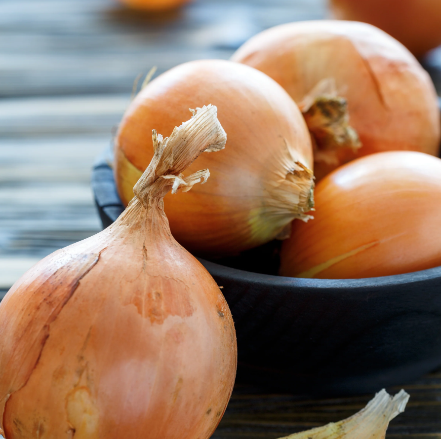 Rohrer Seeds Yellow Sweet Spanish Onion Seeds